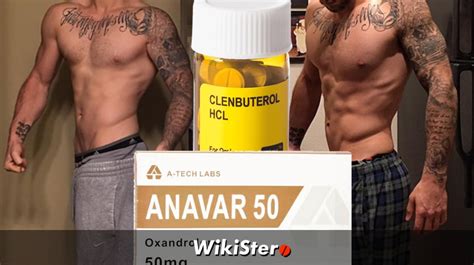 Anavar Clen Cycle Best Guide To Cutting Fast Wikistero The Bible Of Anabolic Steroids