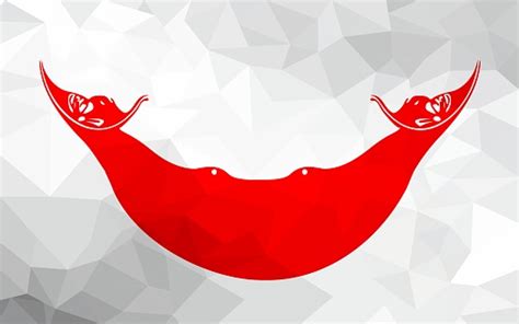 이스터 섬 다각형 플래그입니다 모자이크 현대 배경입니다 기하학적 디자인 0명에 대한 스톡 벡터 아트 및 기타 이미지 0명 3차원 형태 건축물 Istock