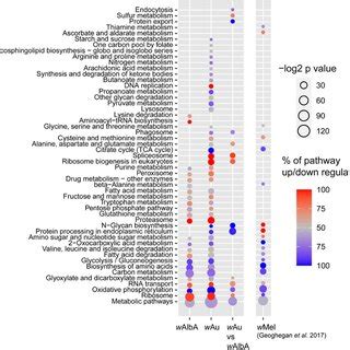 KEGG Pathway Analysis Of Differentially Regulated Proteins And Pathway
