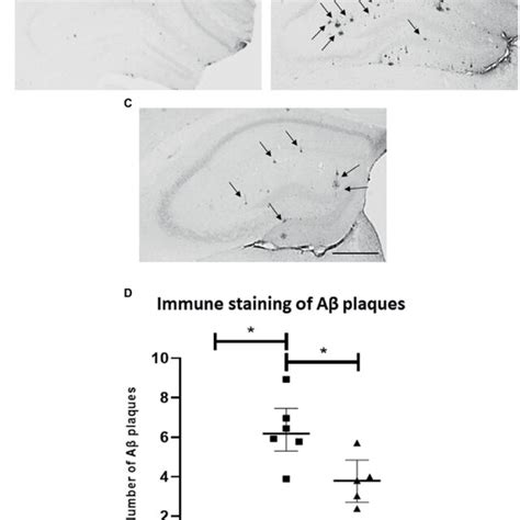 Resistance Exercise Reduced The Number Aβ Plaques In The Hippocampus Of Download Scientific