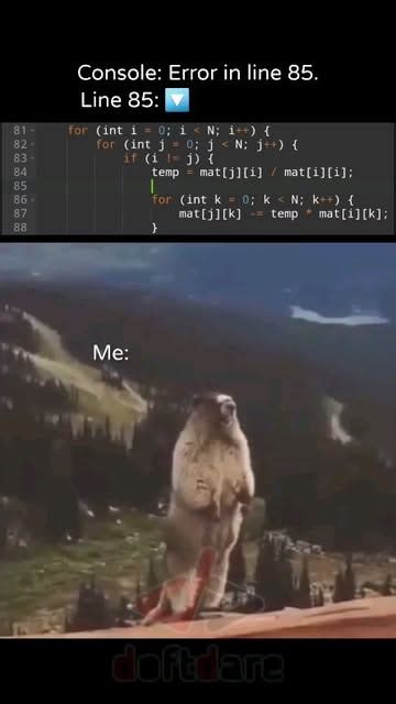Python Programmer Pythonhunt • Instagram Photos And Videos