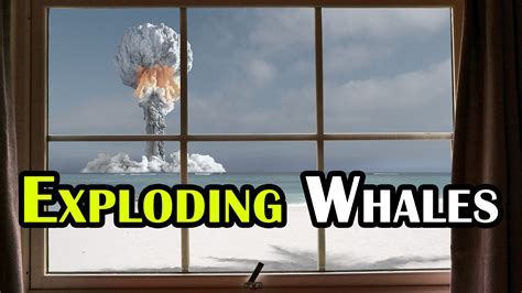 The Curious Case Of Exploding Whales
