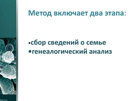 Генеалогический метод изучения наследственности презентация онлайн
