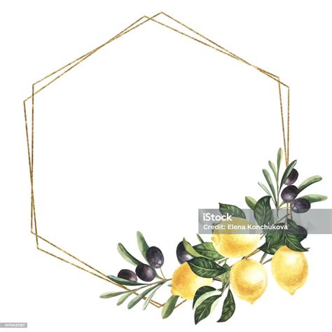 흰색 배경에 격리된 올리브 가지와 레몬의 수채화 황금 육각형 프레임 요리 잡지 주방 장식 인사말 배경 화면 패션 및 초대장에 대 한 꽃 그림 0명에 대한 스톡 벡터 아트 및