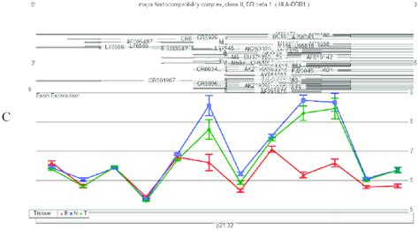 Exon Microarray Comparison Of Expression Across Brain Samples B