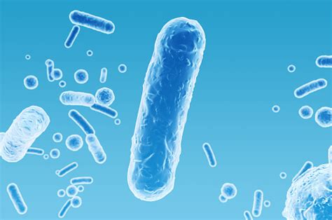 장내 세균 그람 음성 막대 모양의 박테리아 장내 미생물의 일부 및 다른 감염의 원인 물질 3d 렌더링 대장균 Klebsiella Enterobacter 및 기타 0명에 대한