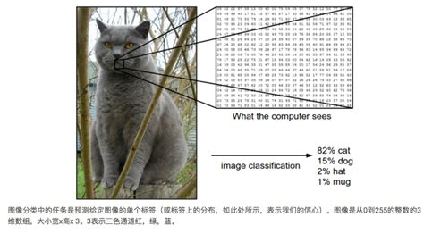 深度学习 神经网络 Timcode 博客园