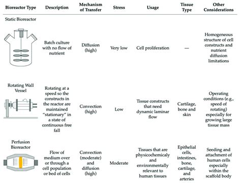 The Comparison Of The Main Bioreactors Used In Tissue Engineering And Download Scientific