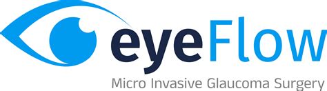 Home Eyeflow Inc