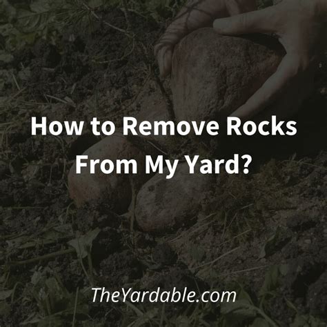 How To Remove Rocks From Yard And Soil Theyardable