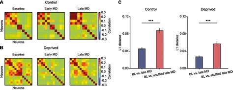 Structure Of Correlation Matrices Is Maintained After Recovery A