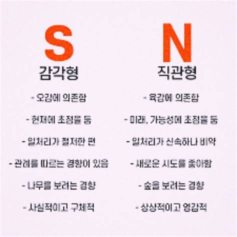 Mbti S N 차이 바로 팩폭으로 알아볼게요 네이버 블로그