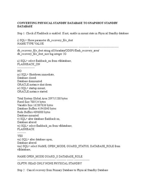 Oracle 11g Converting Physical Standby Database To Snapshot Standby Database Pdf Oracle