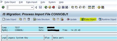 SAP ABAP ISU EMIGALL Copy Migration Object
