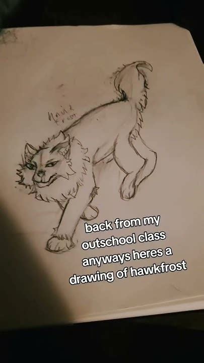 Genshinimpact Wcue Fyppppp Warriorcats Youtube