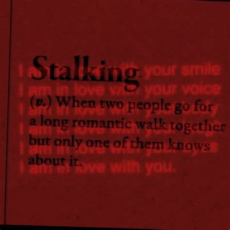 Stalker Obsessed Image