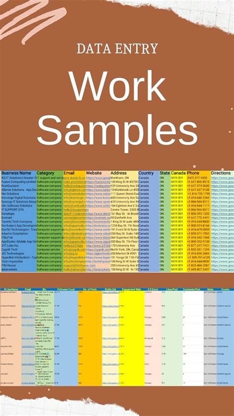 Professional Data Entry Work Sample And Portfolio Data Entry Images Hd