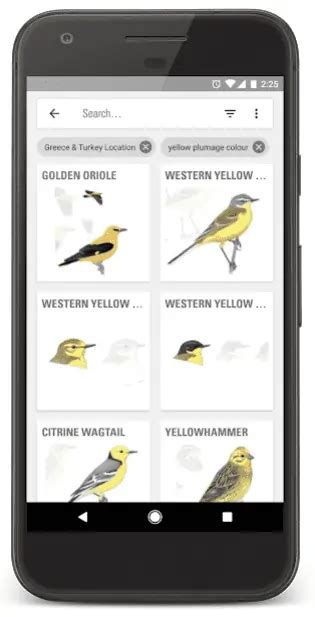 5 Best Bird Identification Apps Wont Regret Using These Birding
