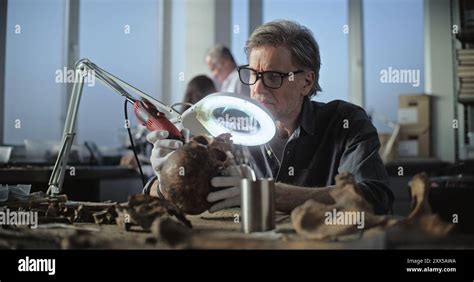 Mature Archaeologist In Glasses Cleans Fossil Remains Using Professional Tool Examines