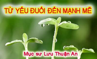 TỪ YẾu ĐuỐi ĐẾn MẠnh MẼ HỘi ThÁnh Tin LÀnh TÂn Minh