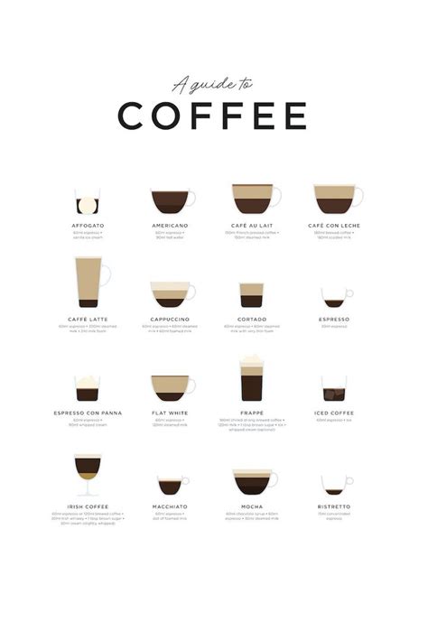 Your Ultimate Coffee Guide