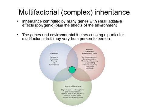 Identification Of Genes Involved In Multifactorial Diseases And