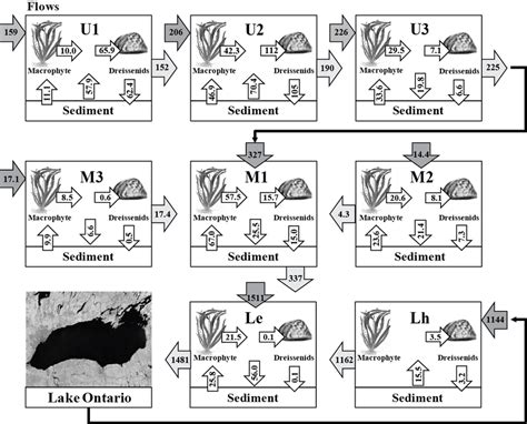 Figure Si 1 Spatial Variability Of The Various External And Internal Download Scientific