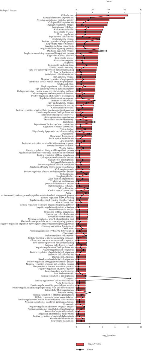 Global Proteomics Analyses And The Identification Of Differentially Download Scientific Diagram
