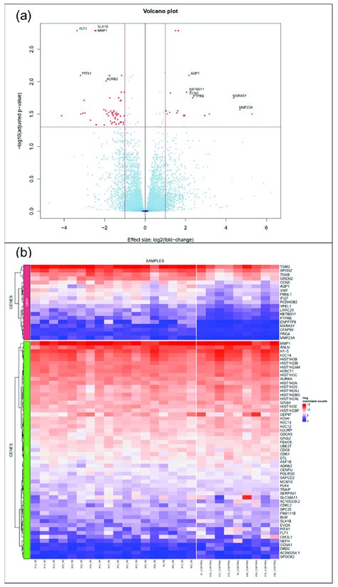 RNA Seq DESeq Analysis Revealed Differentially Regulated Genes Download Scientific