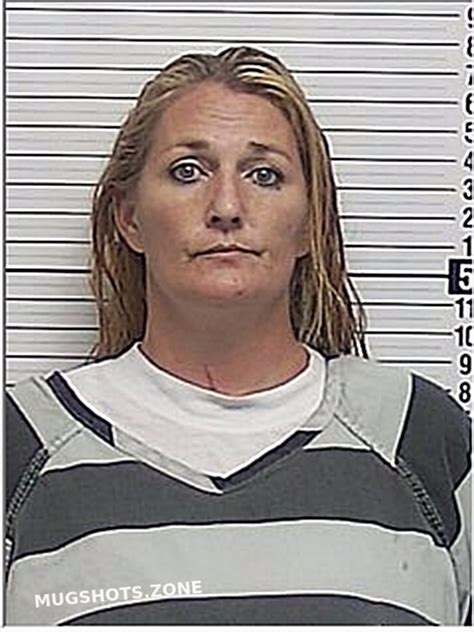 Herron Misty Renee 09 23 2024 Bay County Mugshots Zone