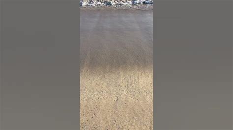 잔잔한 파도 소리 Youtube