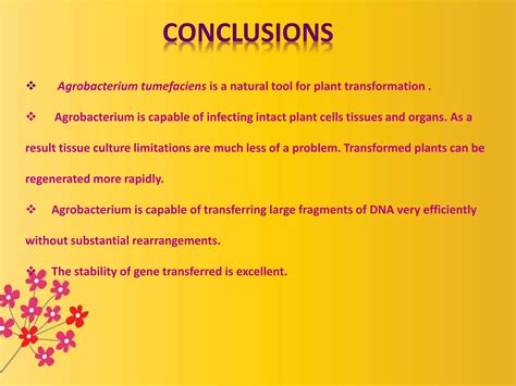 Ti Plasmid As A Vector Pptx