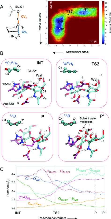 Second Step Of The Chemical Reaction Catalyzed By Lnbb A Collective Download Scientific