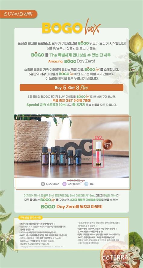 도테라코리아 Bogo 데이1 518 대박 실용만점 이지에어 유칼립투스 호흡기 오일 꼭 하세요 네이버 블로그