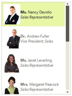 Customizing Items Radlistcontrol Telerik Ui For Winforms