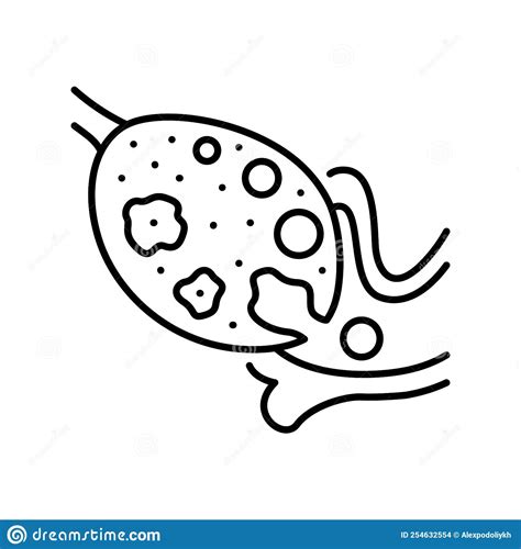 Ovulation Olor Line Icon Female Reproductive System Pictogram For Web Page Mobile App Promo