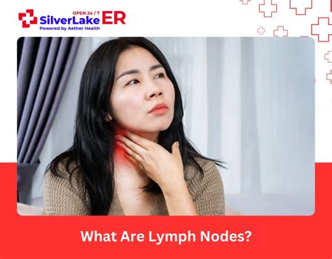 What Causes Swollen Lymph Nodes 5 Causes And Warning Signs