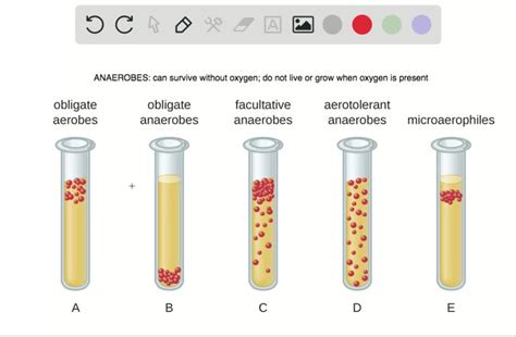 Solved Which Of The Following Terms Best Describes An Organism That Camnot Exist In The