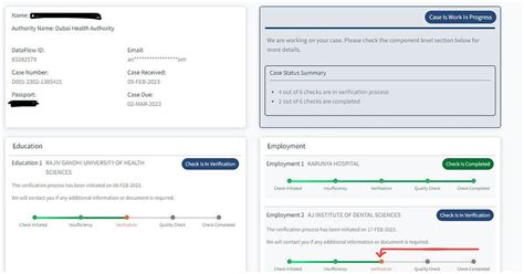 How To Fill Dataflow Verification Form