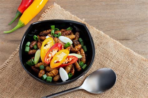 누에 푸페 그릇에 조미료와 자루에 숟가락으로 요리 곤충 고기로 만든 식품 으로 먹는 음식 곤충은 단백질 식용의 좋은 소스입니다 엔토모파기 개념 0명에 대한 스톡 사진 및