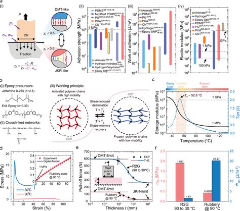 Figure 2 From Fibrillar Adhesives With Unprecedented Adhesion Strength Switchability And