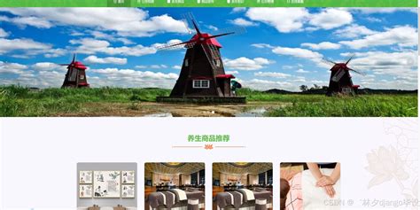 【开题报告】基于djangovue健康养生系统论文源码计算机毕业设计 Csdn博客