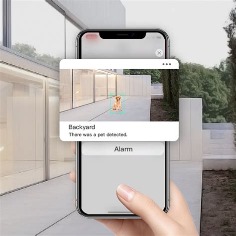intelligent notification and video analysis netvue cloud ai security