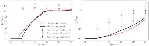 Quantitative Comparison Of Simulation Results And Experimental Data For