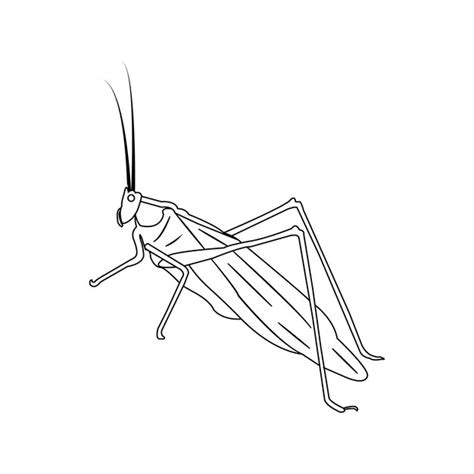 Premium Vector Grasshopper Icon