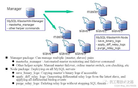 Mysql 高可用方案选型解析mysql Innodb Cluster、mha 和 Pxc Csdn博客