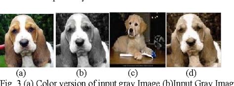 Figure 2 From Coloring Gray Scale Digital Images Using Kekres Fast