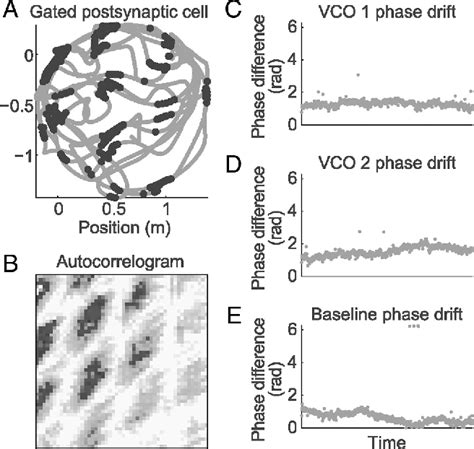 Figure 10 From Coupled Noisy Spiking Neurons As Velocity Controlled Oscillators In A Model Of