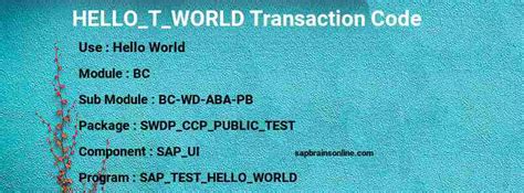 Hello T World Sap Tcode For Hello World