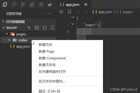 Python微信小程序开发（三）开发小程序及页面布局python 微信小程序开发 Csdn博客